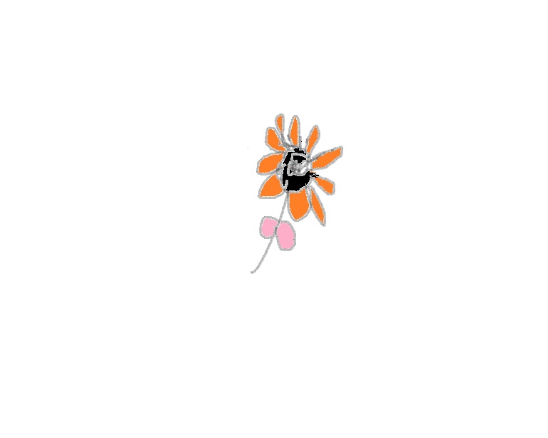 Darcie | SIDEMoodle|Secondary