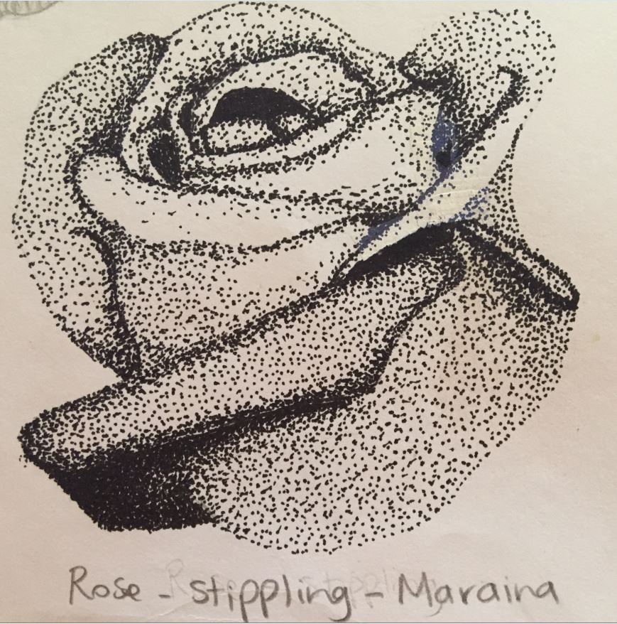 Maraina-miria gallery (open)